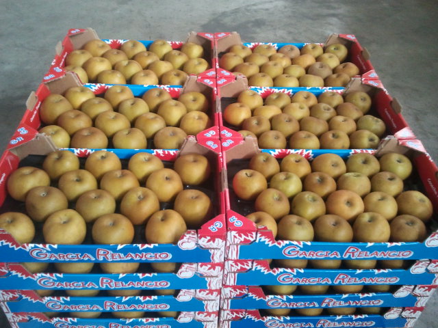 Manzanas Frutas Garcia Relancio